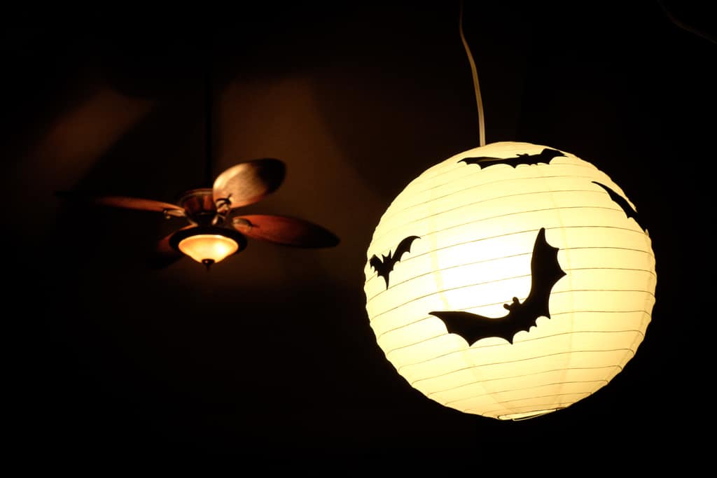Easy Bat Paper Lantern